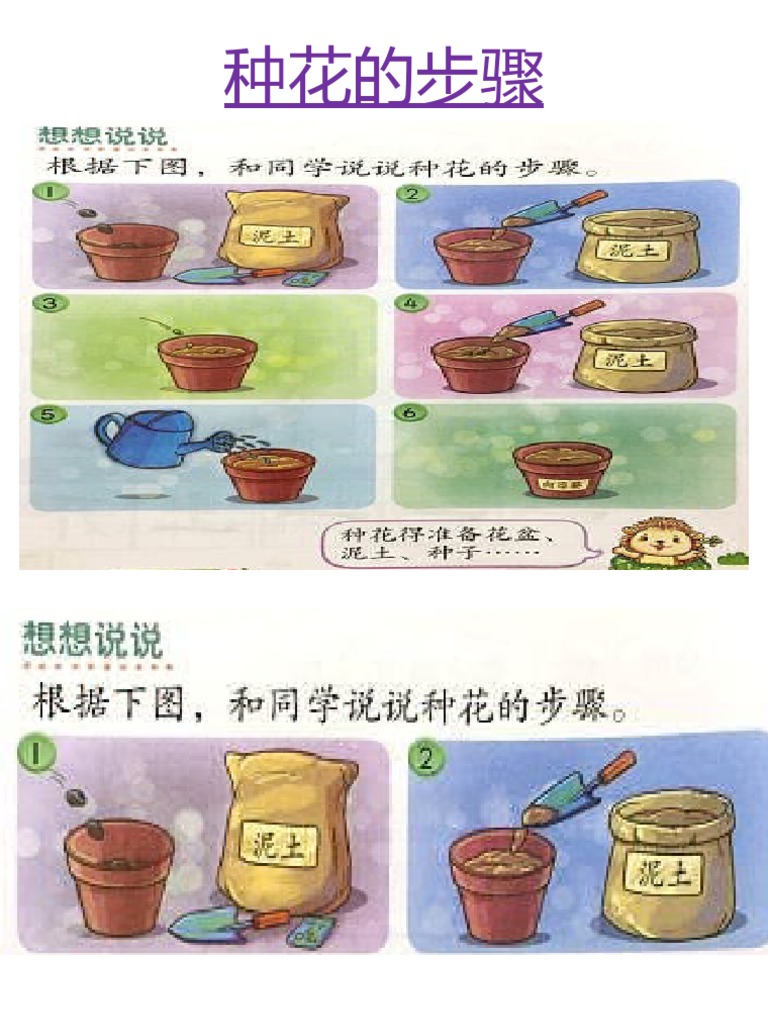 8 种花的步骤 | PDF