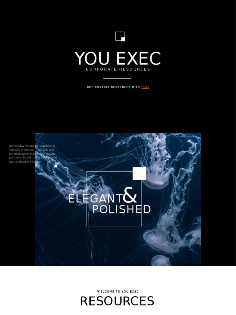 You Exec: Corporate Resources | PDF | Computing | Computing And ...
