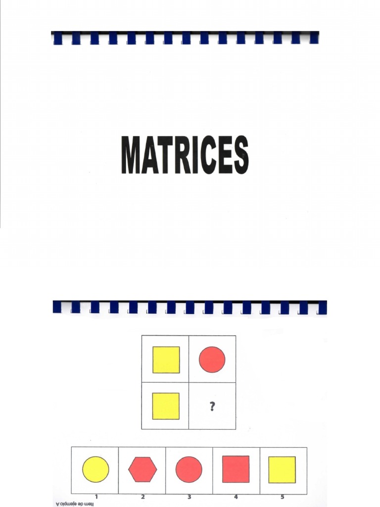 Matrices Wisc V | PDF