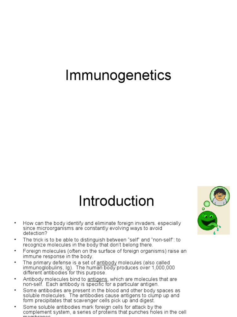 Immunogenetics | PDF | T Helper Cell | Antibody