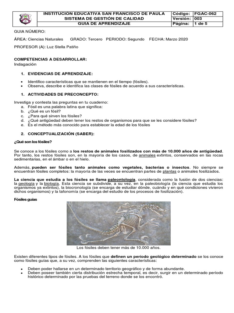 Guía de Aprendizaje Fosiles p2 Grado 3 PDF | PDF | Fósil | Paleontología