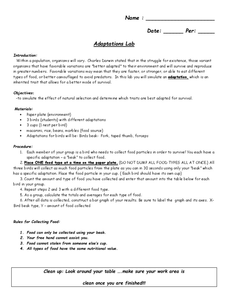 Adaptations Lab - Birds Beaks | PDF | Adaptation | Birds