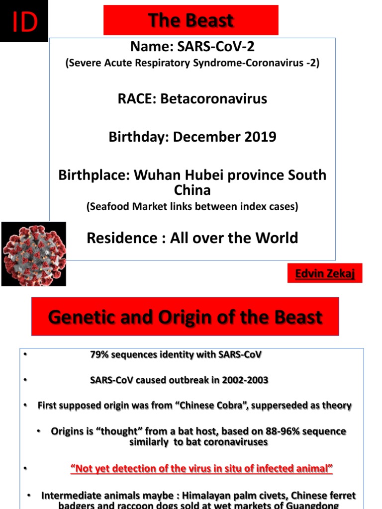 The Beast 2020 | PDF | Antiviral Drug | Infection