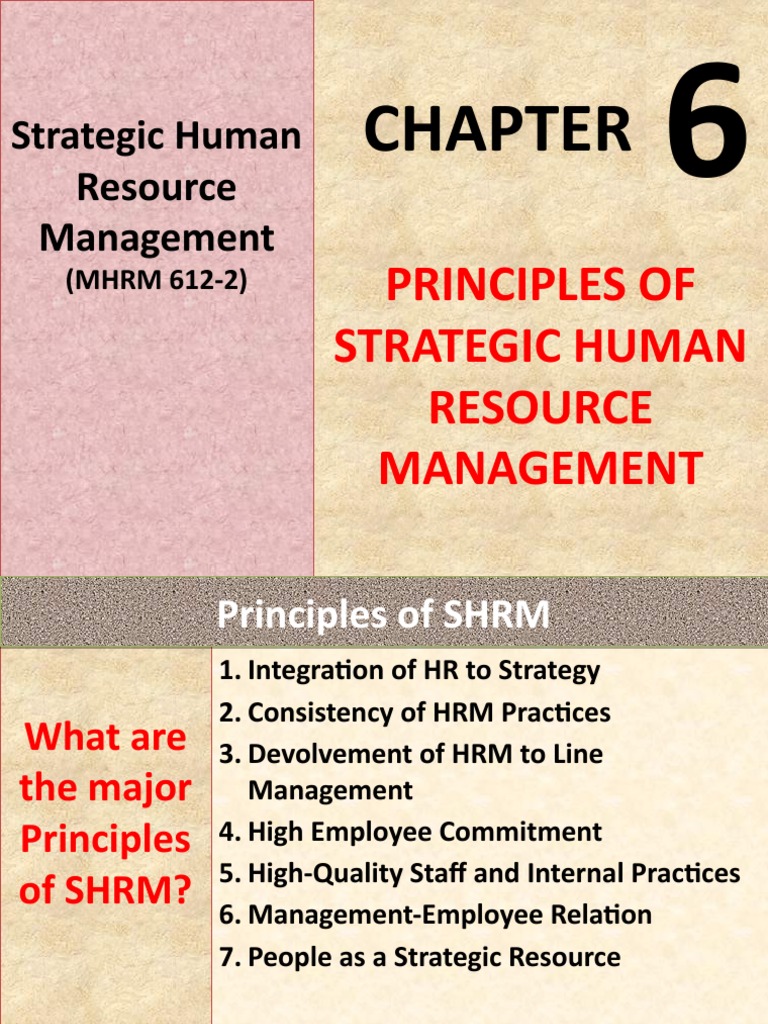 Principles of Strategic Human Resource Management | PDF | Human ...