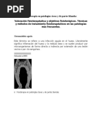 Ejercicios Williams-Charrriere L-S | PDF