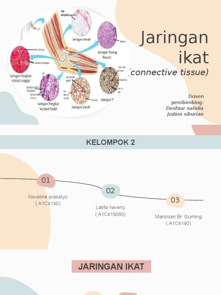 Jaringan Ikat | PDF