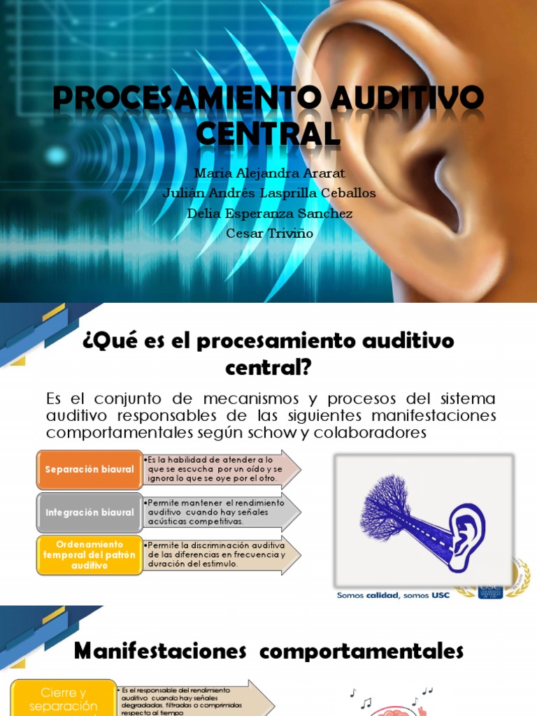 Procesamiento Auditivo Central | PDF | Desorden hiperactivo y deficit ...