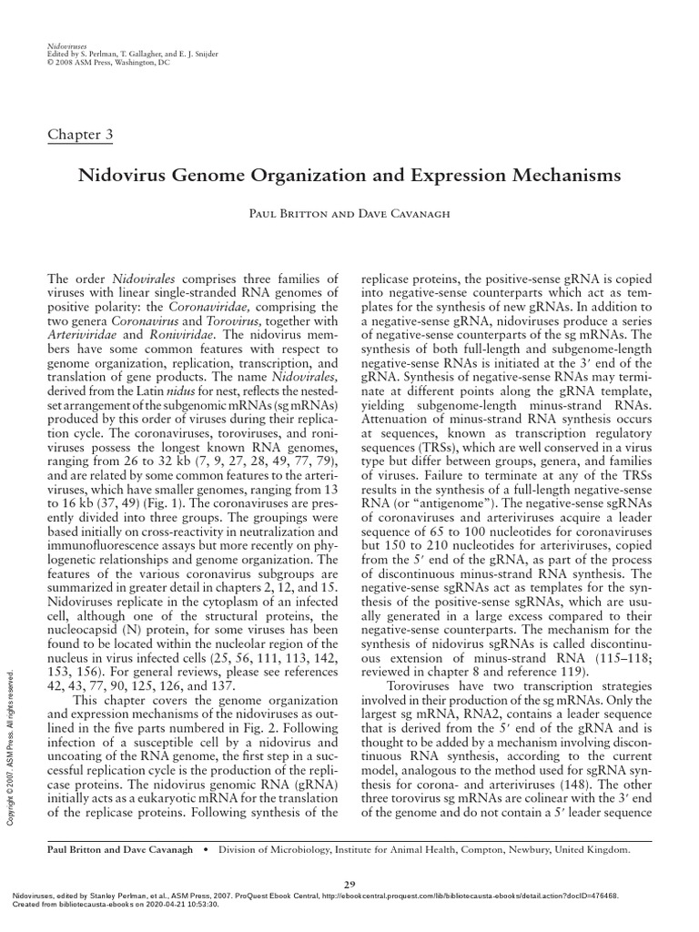 Nidovirus Genome Organization and Expression Mechanisms | PDF | Sense ...
