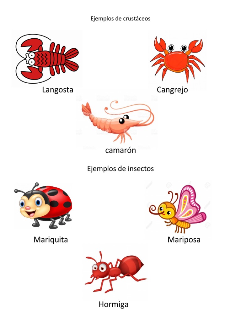 Ejemplos de Crustáceos y Nombres | PDF