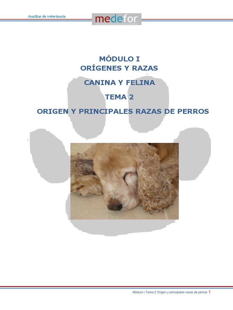 Módulo 1 - Tema 2 Origen y Razas de Perros PDF | PDF | Perros | Boxer ...