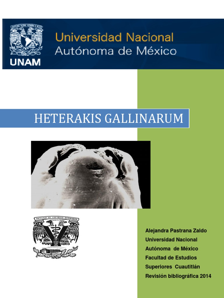Heterakis Gallinarum | PDF | Heces | Aves