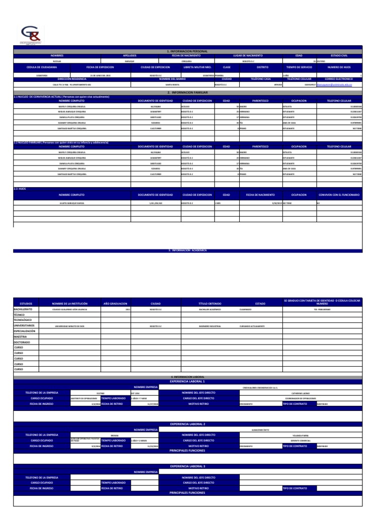 Formato de Informacion Preliminar | PDF | Business