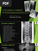 Signo del Perrito Escocés en Radiología | PDF | Vértebra | Medicina