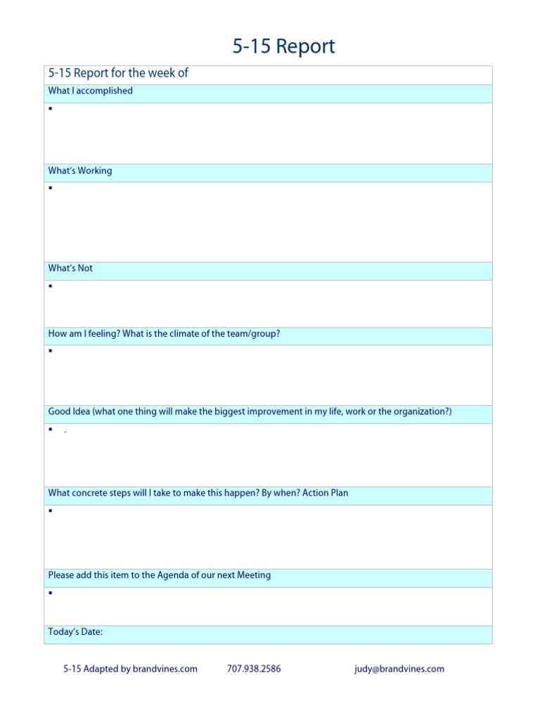 Weekly Progress and Action Plan: Analyzing Accomplishments, Team ...