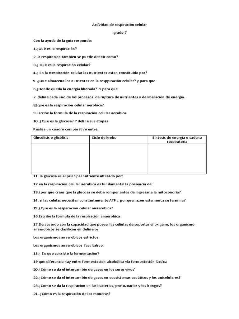 Guía de Respiración Celular Grado 7 | PDF