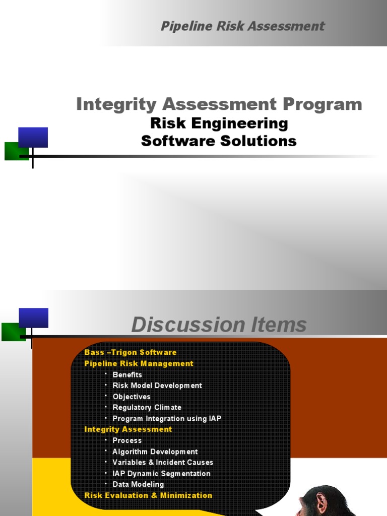Integrity Assessment Program: Risk Engineering Software Solutions | PDF ...