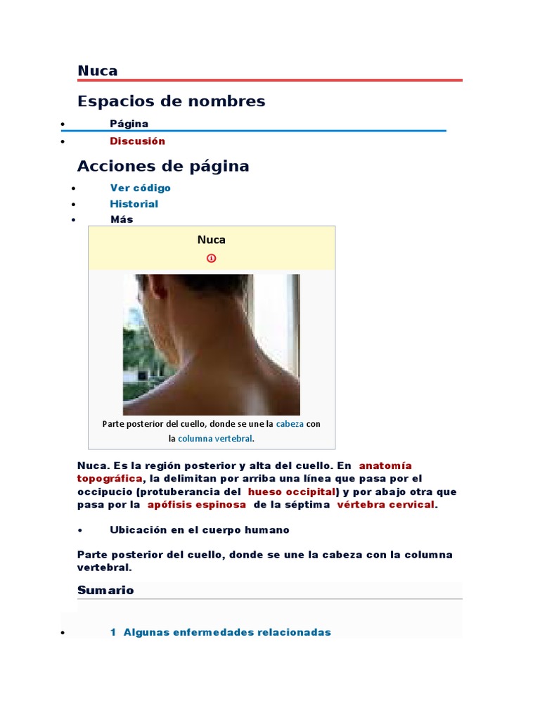 Partes de La Nuca | PDF