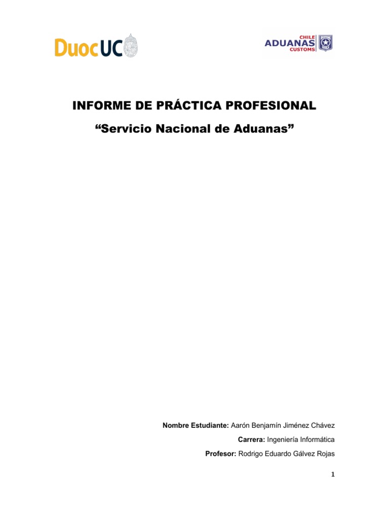 Informe de Práctica Profesional | PDF | aduana | Software