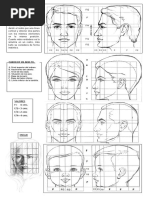 Proporciones De La Cabeza Humana Pdf Cara