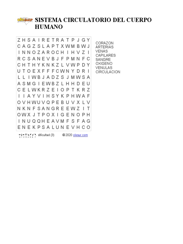 Sopa-De-Letras-486 Circulatorio | PDF