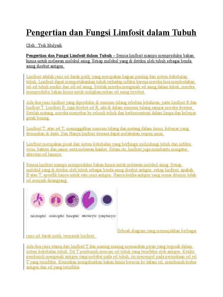 Pengertian Dan Fungsi Limfosit Dalam Tubuh | PDF