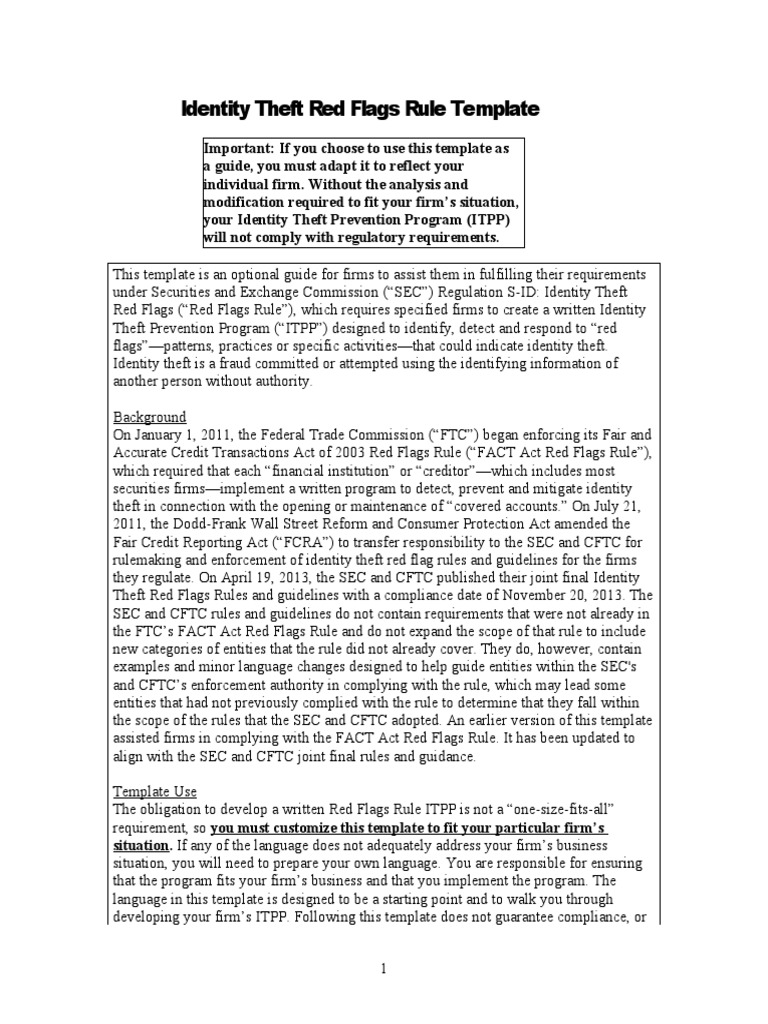 Identity Theft Rule Guide | PDF | Government | Corporate Law