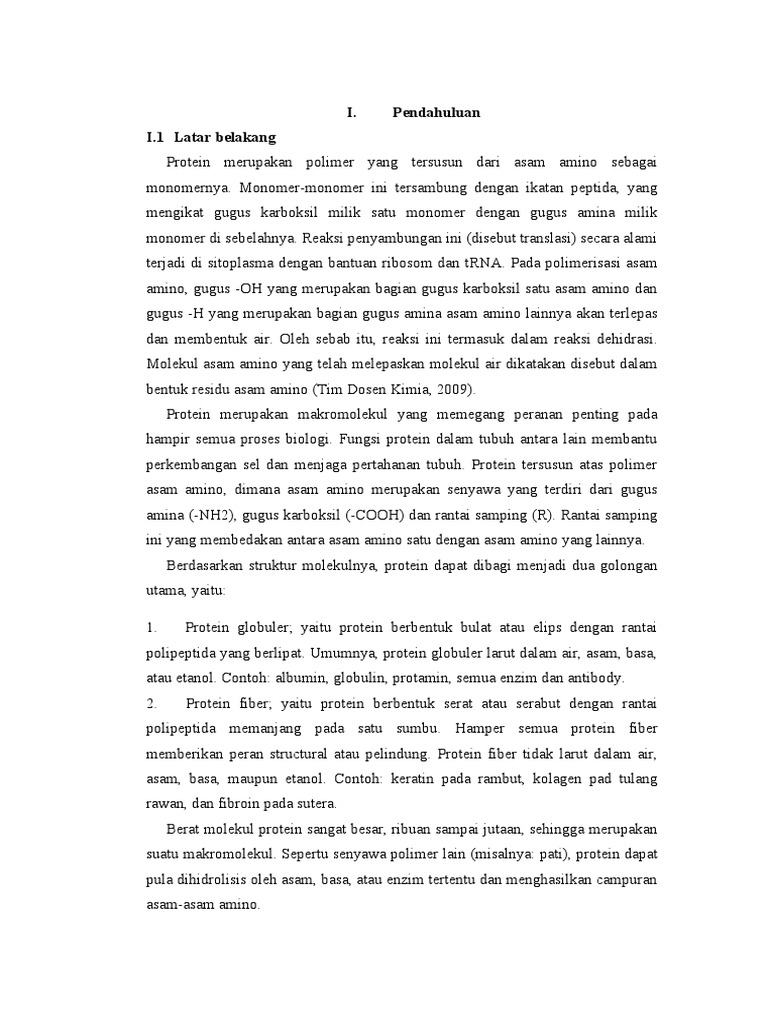 Isi Laprak Biokim Protein | PDF
