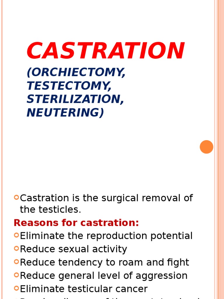 Castration: (Orchiectomy, Testectomy, Sterilization, Neutering) | PDF ...