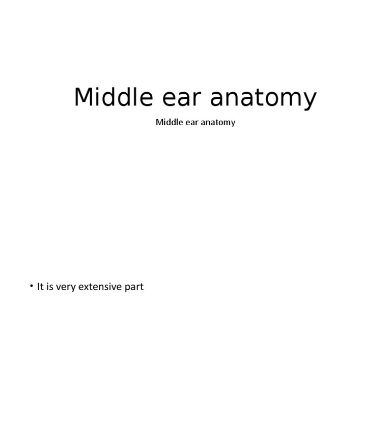 External Ear Anatomy PPT Yh | PDF