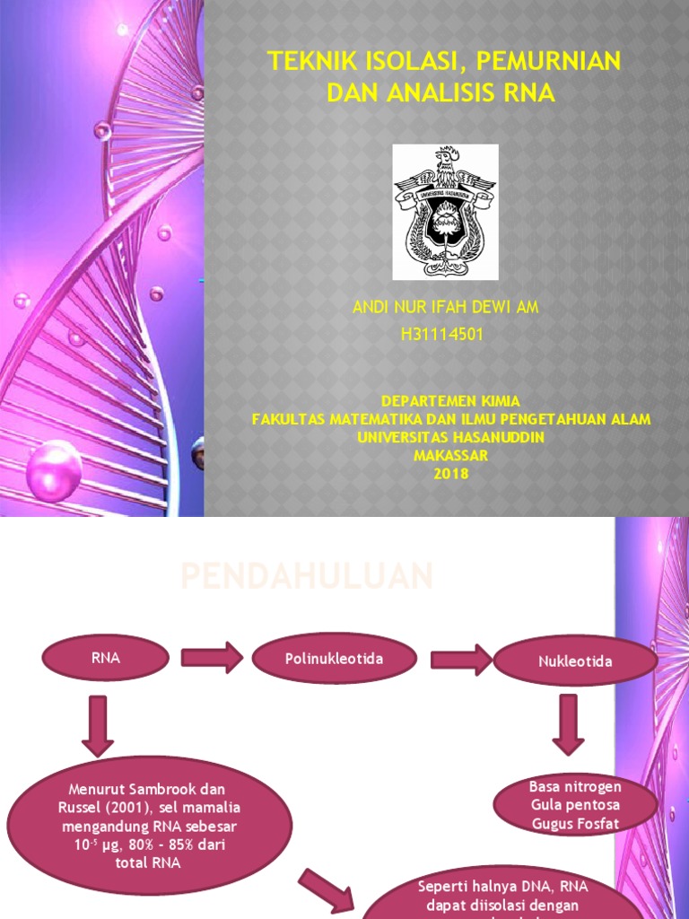 Teknik Isolasi dan Analisis RNA | PDF