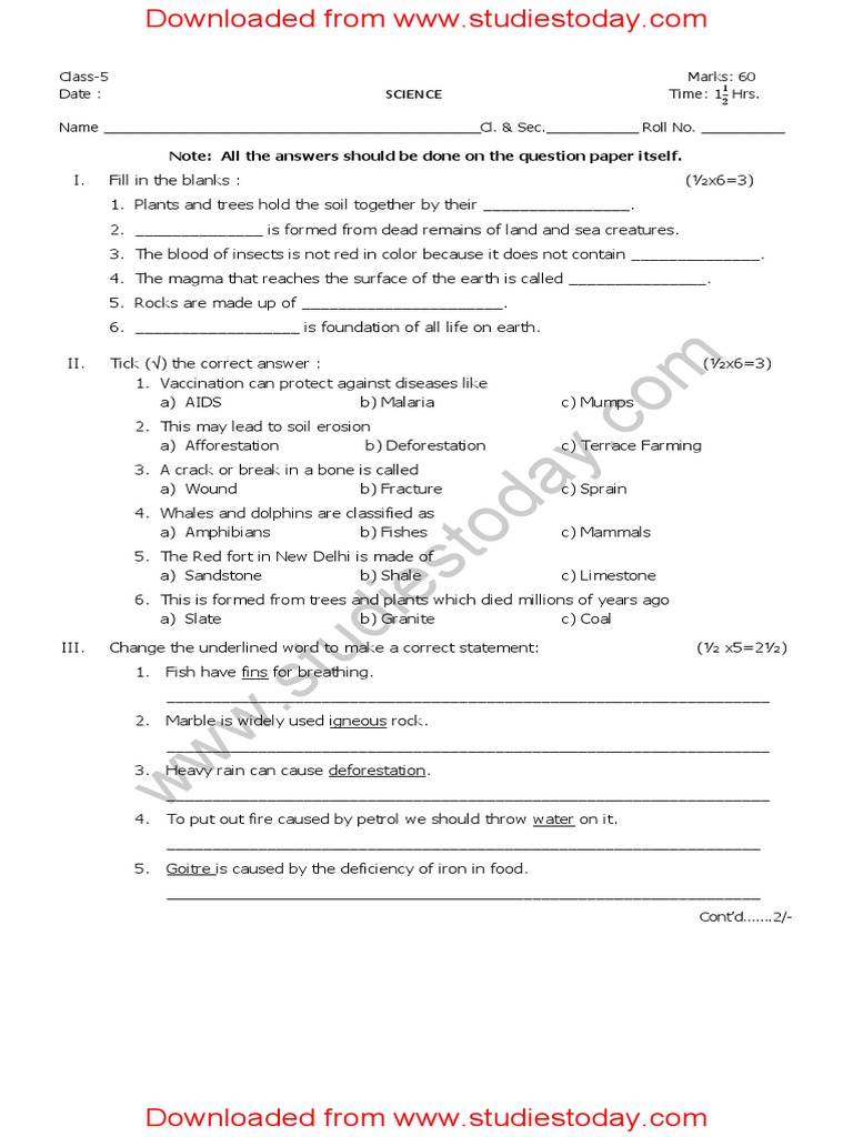 CBSE Class 5 Science Question Paper Set B PDF | PDF | Rock (Geology ...