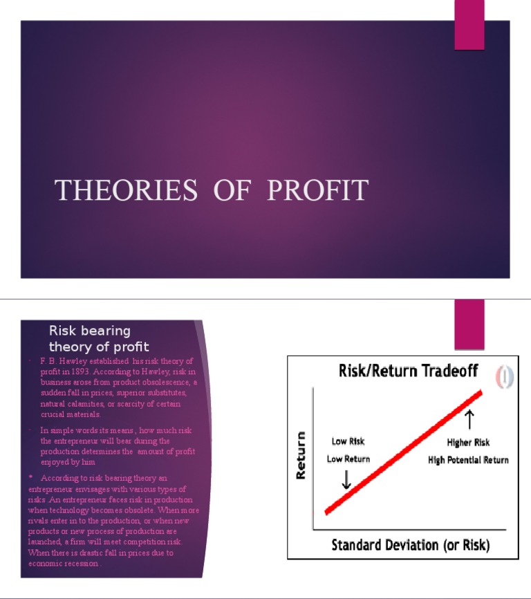 Theories of Profit 2 | PDF