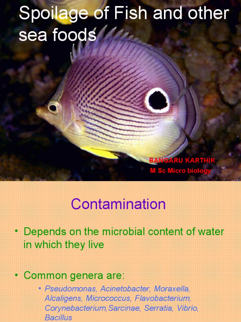 Fish Spoilage: Causes and Microbial Impact | PDF | Decomposition ...