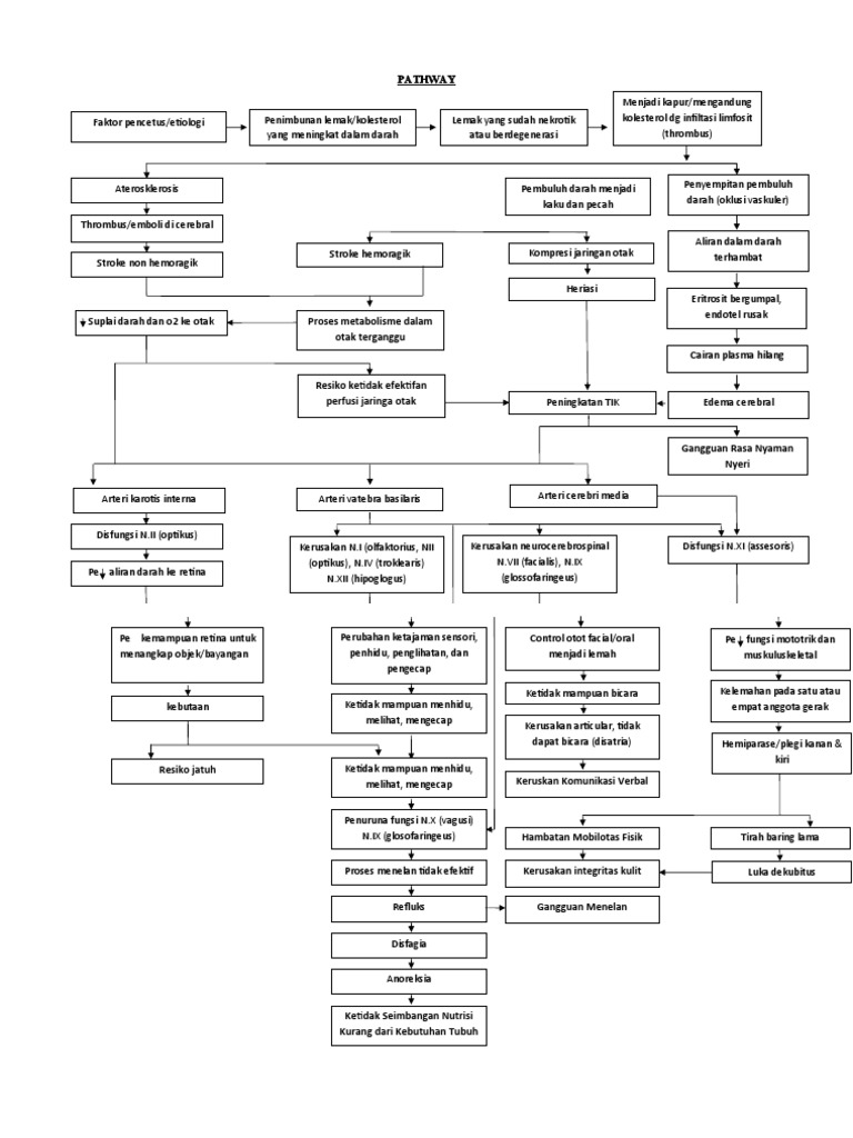 Pathway Stroke | PDF