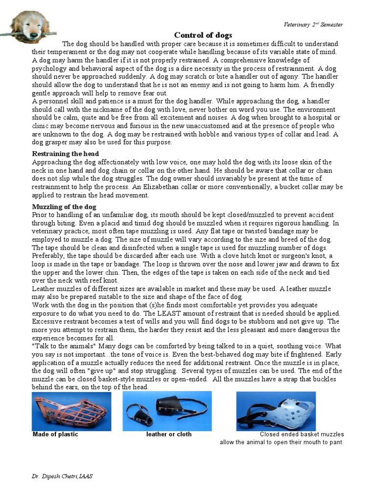 Control of Dogs: Restraining The Head | PDF | Knot | Dogs