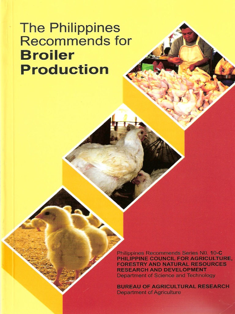 Philippines Broiler Production Guide | PDF | Broiler | Farms