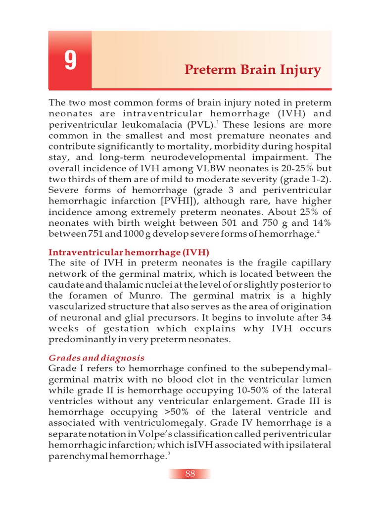 Preterm Brain Injury - 2019 | PDF | Cerebrospinal Fluid | White Matter