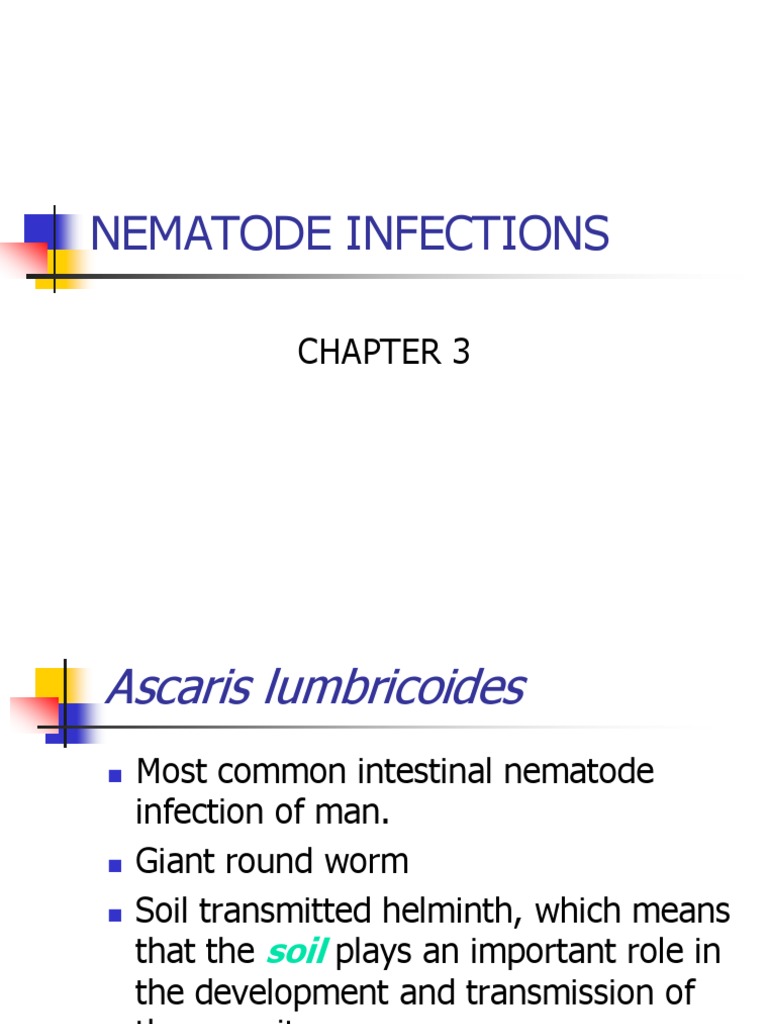 Nematode Infections 2019 Student PDF | PDF | Diseases And Disorders ...