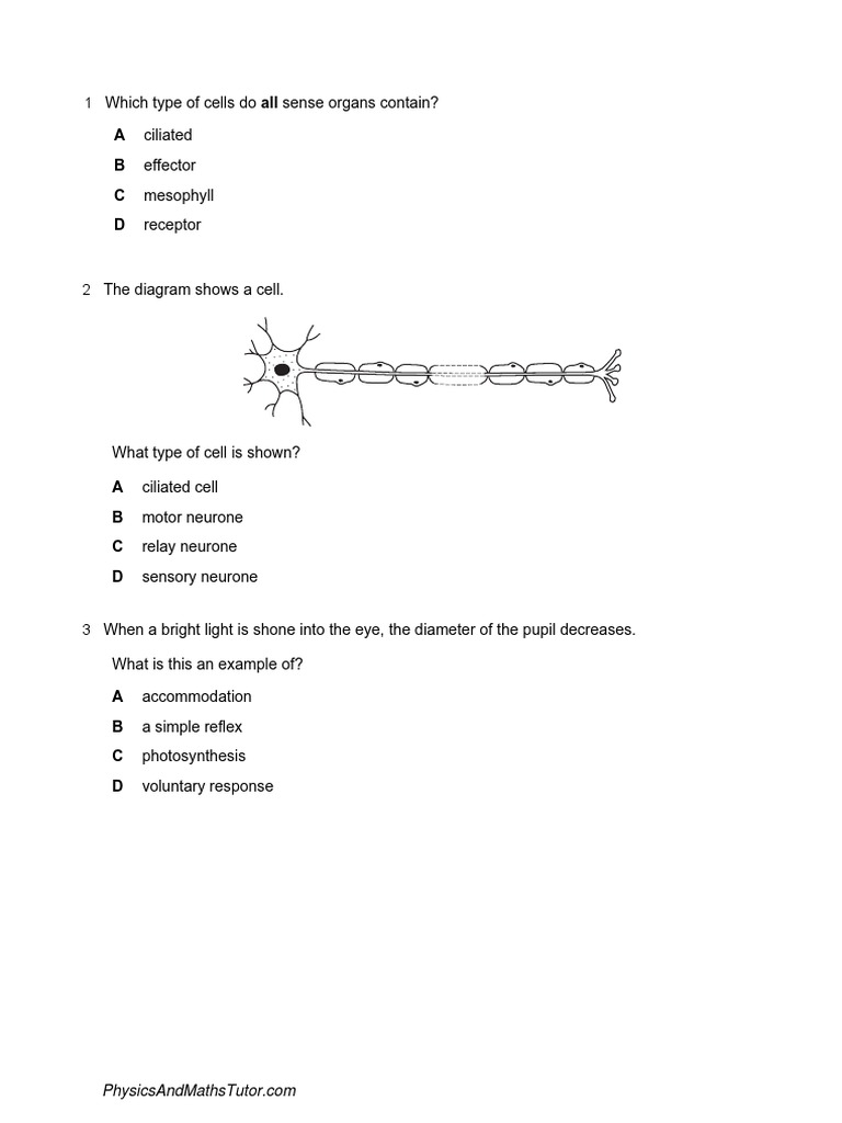Coordination & Response (Multiple Choice) 2 QP | PDF | Vasodilation ...
