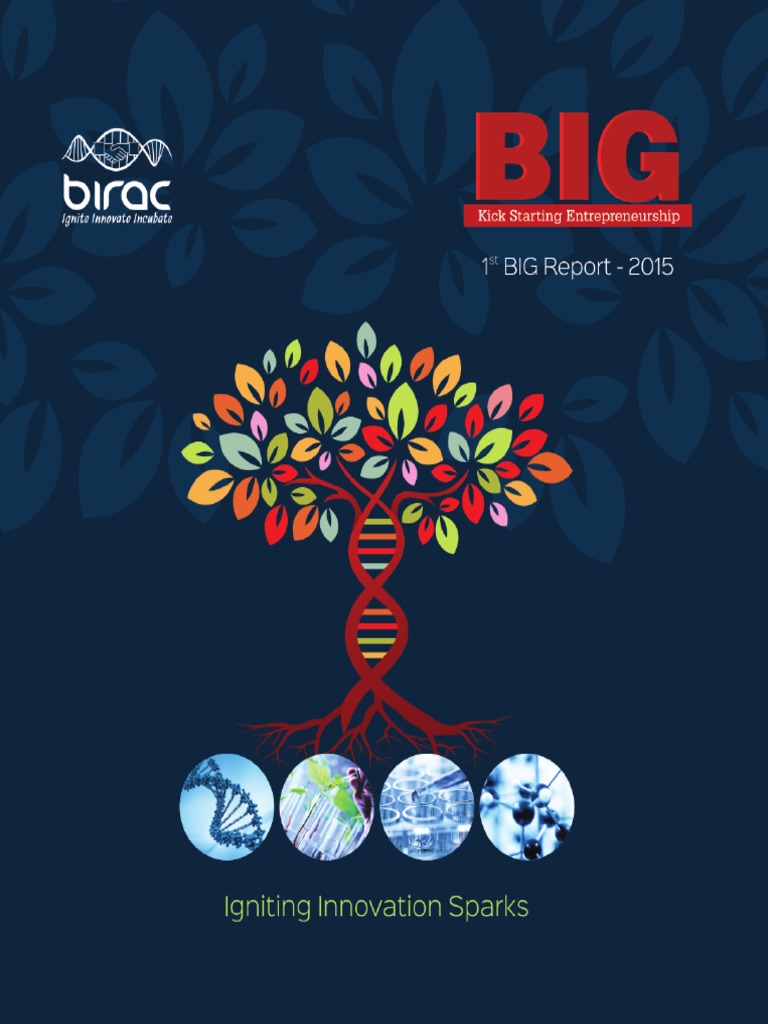 BIRAC - BIG Report - 17 Sept - 2015 | PDF | Vaccines | 3 D Printing