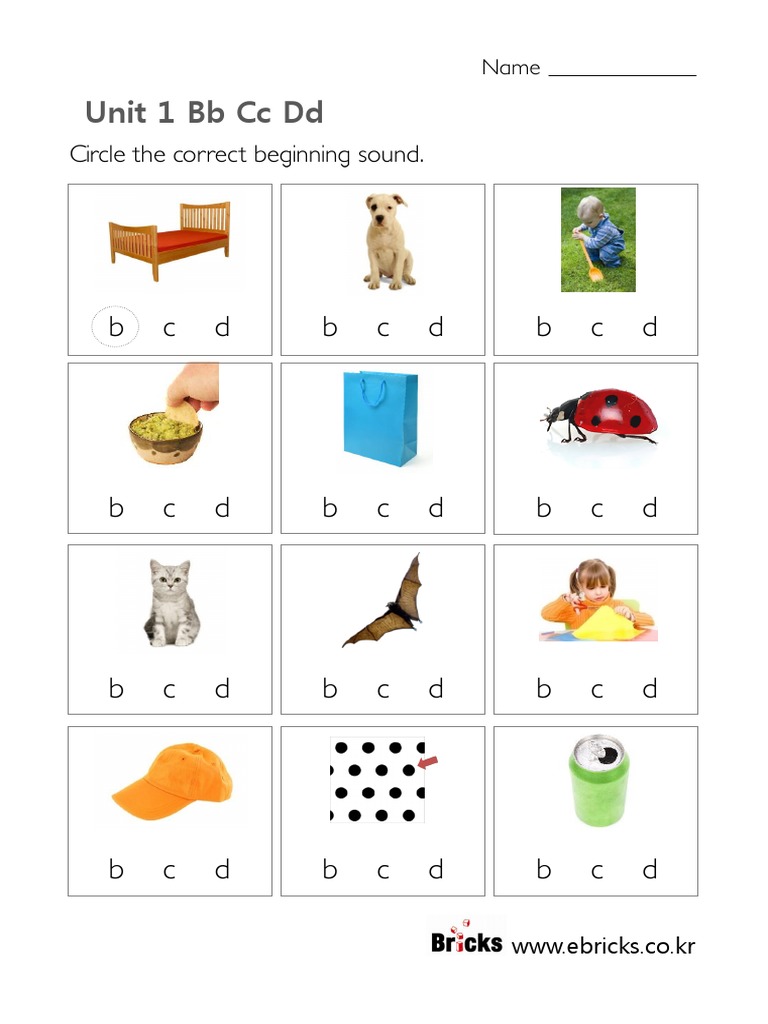 Spotlight On Phonics 1 Activity Workbook | PDF