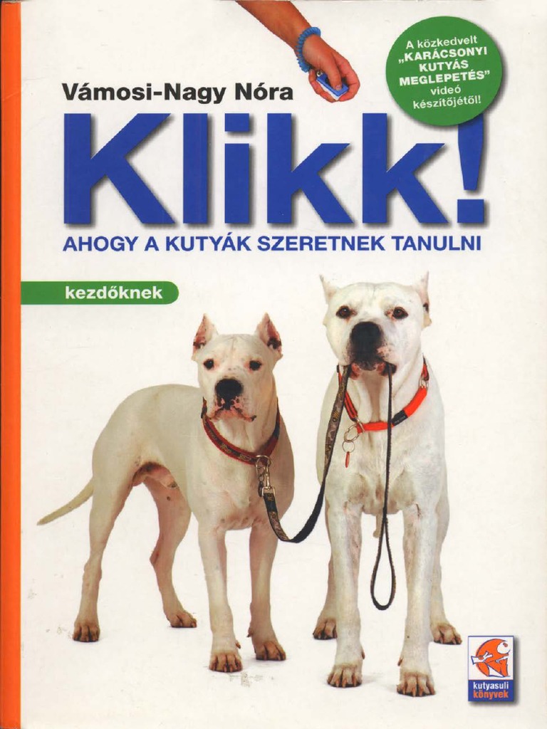 Vámosi-Nagy Nóra-Klikk! PDF | PDF