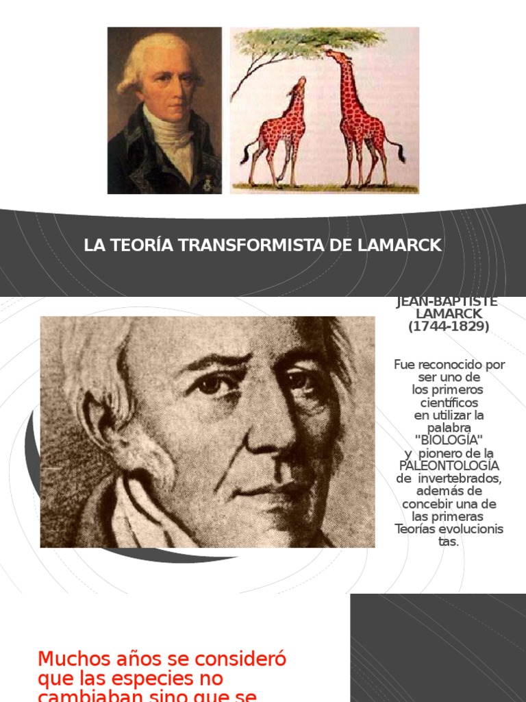 Teoría Transformista | PDF | Evolución | Teorías cientificas