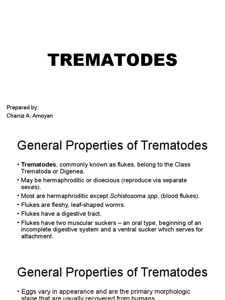 Trematodes: Prepared By: Charriz A. Amoyan | PDF | Parasitology ...