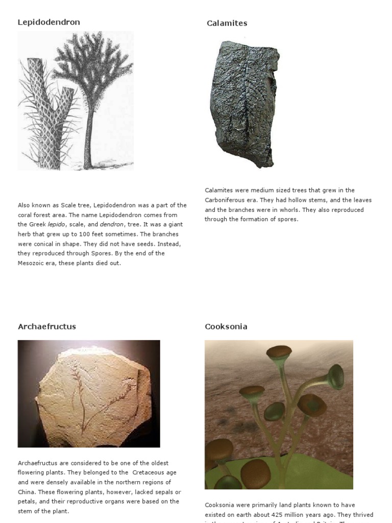 Extinction of Plants | PDF | Plants | Organisms