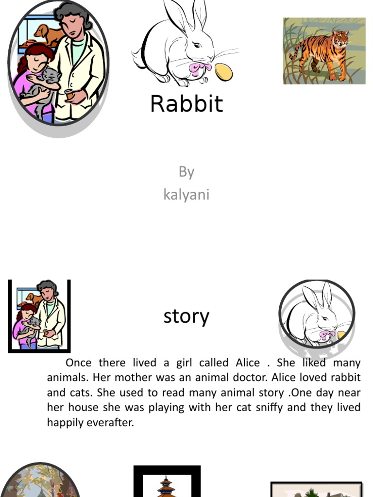 Rabbit | PDF