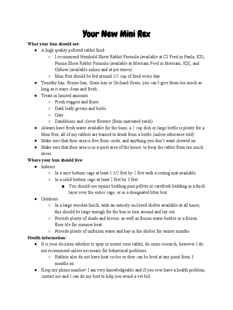 Mini Rex Pet Rabbit Care Guide | PDF | Animals And Humans | Nature