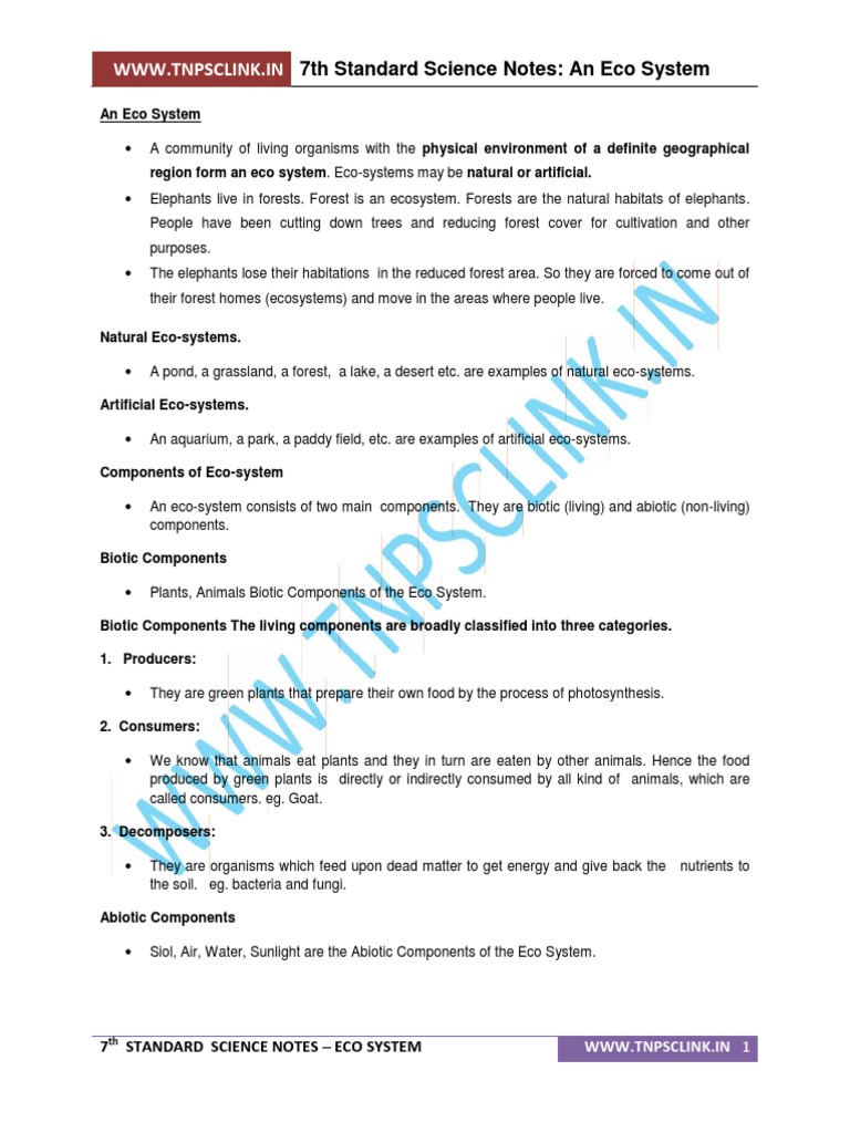 7th Standard Science - EcoSystem | PDF | Ecosystem | Ecology