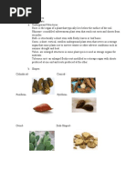 Chapter - 6 Part 3 Microscopy and Powder Microscopy of Drugs | PDF ...