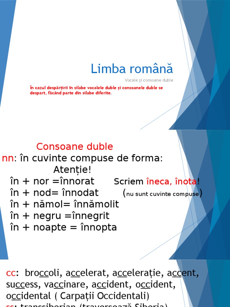 Vocale Si Consoane Duble | PDF